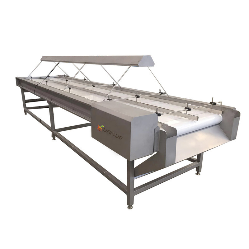 2021 Vegetable and Fruit Selecting Conveyor Sorting Conveyor with Lamp ...